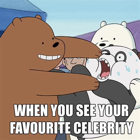 Bare Bears Memes Southcoast Business Black Bear Memes Photos Bare Bears Memes Southcoast Business Black Bear Memes Photos