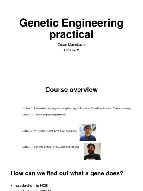 Lecture 2 Genetic Engineering Practical Final Pdf Open Reading