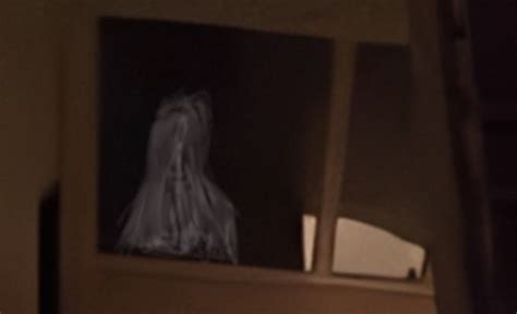 Discuss Everything About Trevor Henderson Wiki Fandom