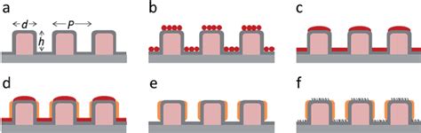 Concept To Fabricate Functional Janus Micropillar Arrays A The Top Download Scientific