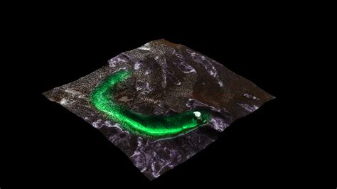 Procedural Dynamic Mask Geometry Nodes Demo Finished Projects Blender Artists Community