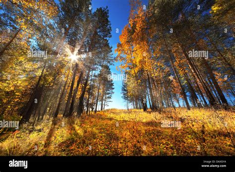 Image Processed For High Dynamic Range Color HDRI Technique Stock Photo Alamy