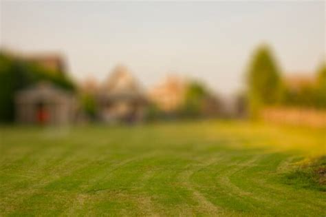 Premium Photo Back Yard With Beautifully Trimmed Grass Selective Focus