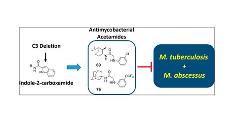 Structural Determinants Of Indole 2 Carboxamides Identification Of