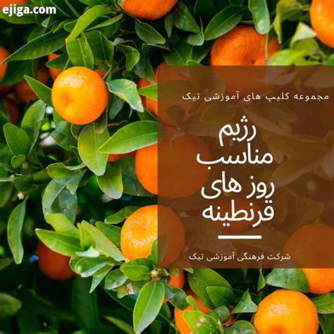مجموعه کلیپ های آموزشی تیکاین روزا بعد از رعایت بهداشت فردی، داشتن یه