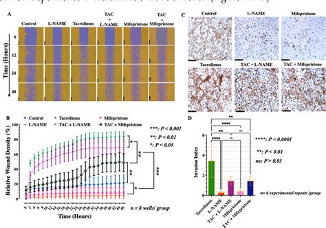 Figure 1 From Low Dose Tacrolimus Promotes The Migration And Invasion