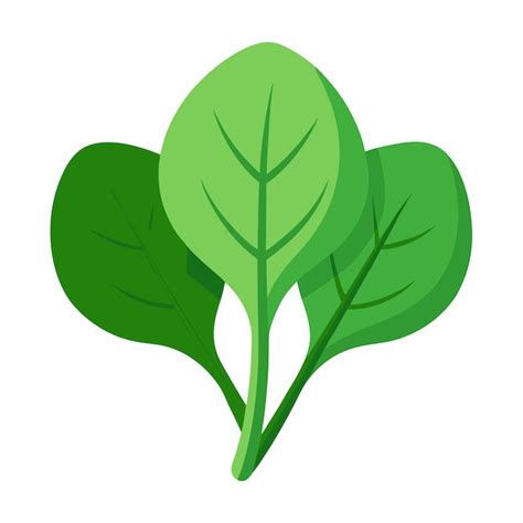 Spinach Vector Design Premium Ai Generated Vector