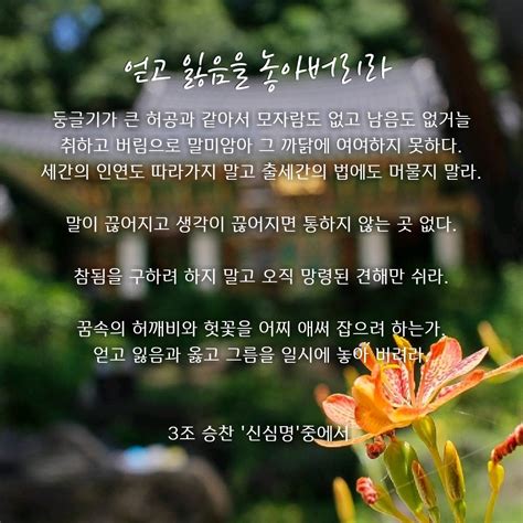 법상스님의 선어록과 마음공부중에서🌸제2 제3의 붓다 선사스님들의 어록산책🌸 법상스님글모음