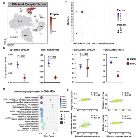 Microbiome 单细胞转录16s代谢联合：浙大孙会增团队探究围产期奶牛过度脂解过程中肠道微生物与免疫抑制的关系 微信文章 仪器谱