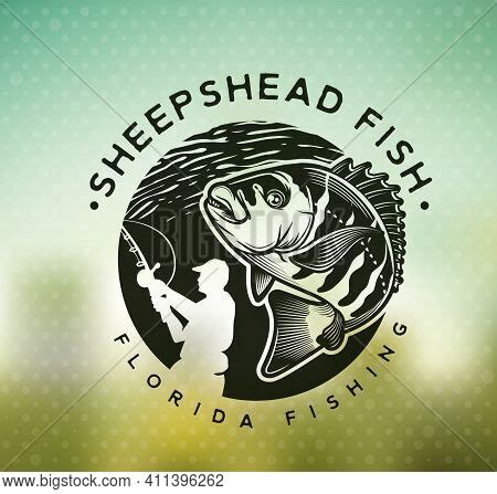Vintage Sheepshead Vector And Photo Free Trial Bigstock
