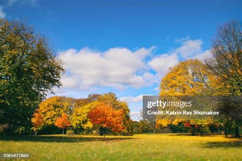 Fall Grass Texture Photos And Premium High Res Pictures Getty Images