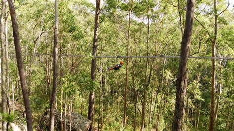 Things Your Family Will Love About TreeTop Adventures New South Wales Australia