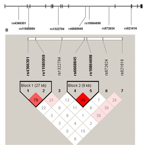 Disc1 Gene Locus And Linkage Disequilibrium Ld Structure A A