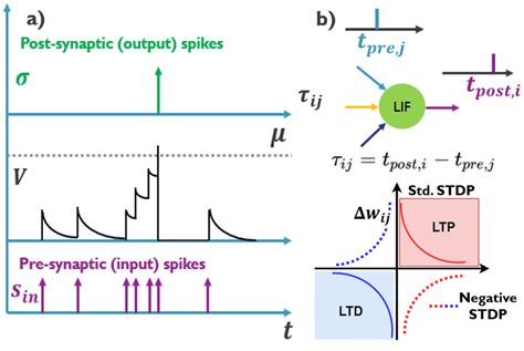 Conceptual Illustration Of The Lif Neuron And Stdp Learning A The Lif Download Scientific
