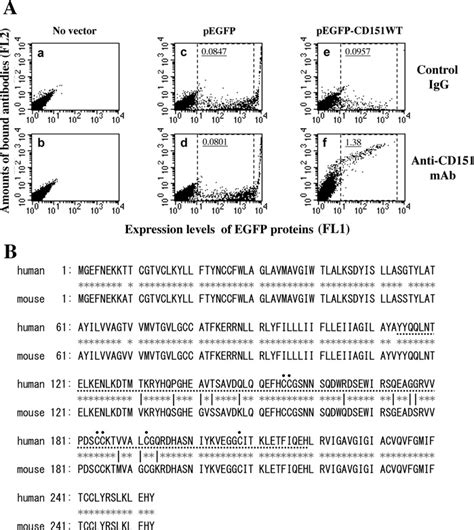 Two Colour Flow Cytometric Analysis For Epitope Mapping Of Mouse