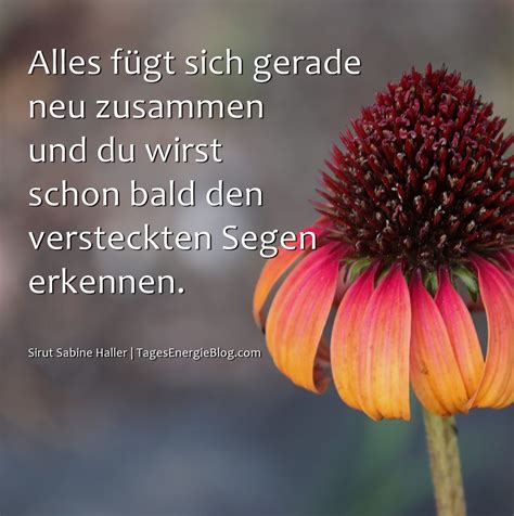 Tages Energie Vom 8 10 19 Portaltag Encouragement Quotes Wisdom Quotes Book Quotes Positive