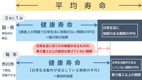 いちかわを「健康寿命日本一のまち」に！ 市川市公式webサイト