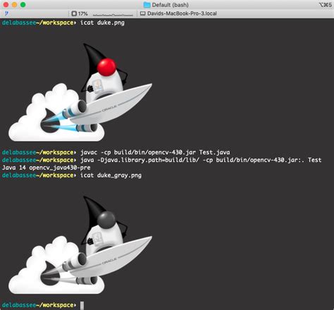 Building Opencv 4 With Java Support David Delabassée Devrel Java