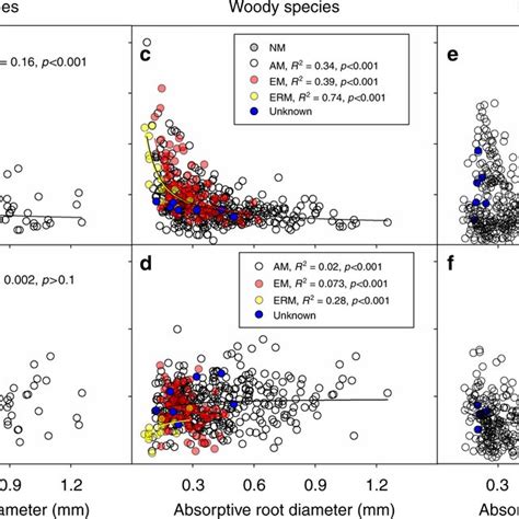Nonlinear Root Trait Relationships Allometric Root Structure Derived Download Scientific