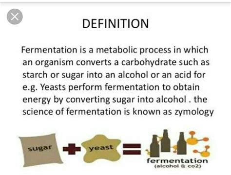 Definition Of Fermentation