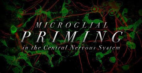 Microglial Priming In The Central Nervous System