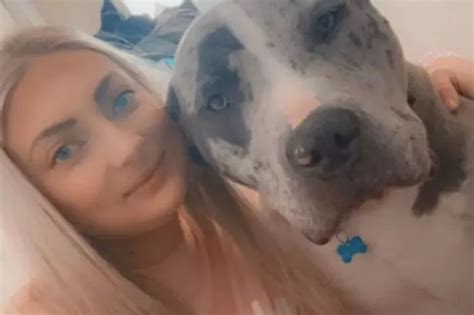 Xl Bully Trainer Secrets For Owners Ahead Of Ban Off Switch Muzzle