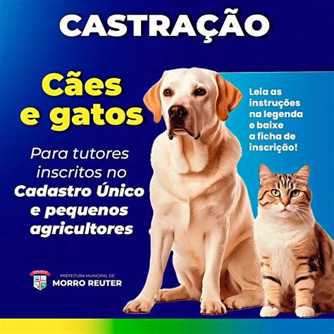 🐾controle De Zoonoses Morro Prefeitura De Morro Reuter Facebook