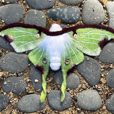 Needle Felted Luna Moth Realistic T For Entomologists And Bug