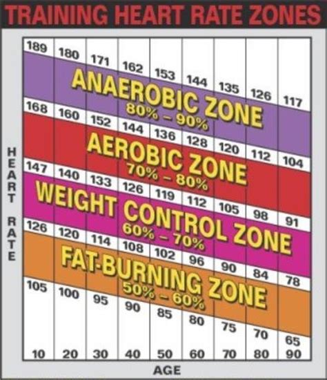 1 An Example Of An Exercise Intensity Wall Chart Downloaded From