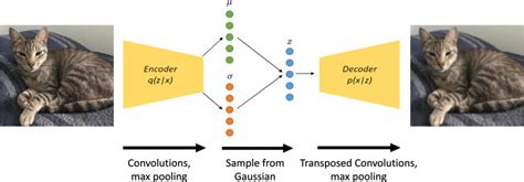Autoencoders Are A Standard Deep Learning Model For Dimensionality Download Scientific Diagram
