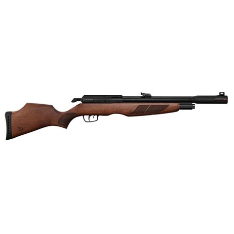 Carabine PCP Gamo RISER Punisher Calibre 5 5 Mm 40 Joules