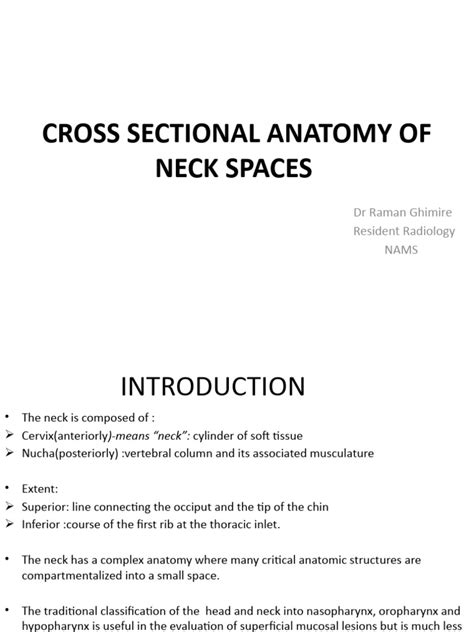 Anatomy Space Cross Section Pdf Neck Vertebra