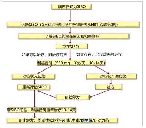 从最新亚太共识看小肠细菌过度生长的治疗管理 春雨医生