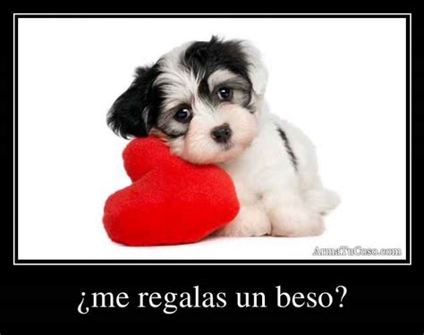 ¿me Regalas Un Beso