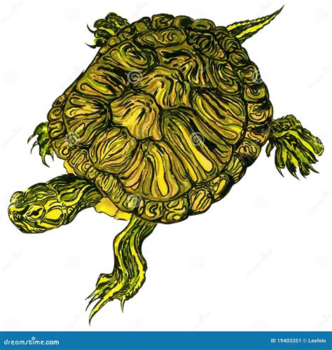 Hand Drawn Pet Trachemys Scripta Scripta Turtle Stock Illustration