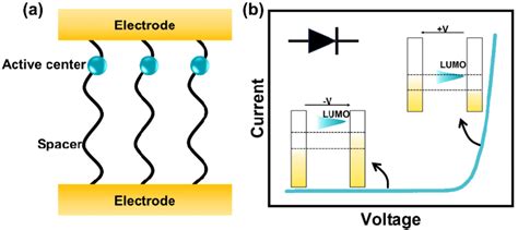 Schematic Diagram Of The Asymmetric Molecular Junction Left And I V Download Scientific