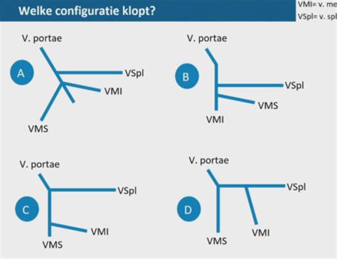 Kaarten Anatomie Lever En Galwegen Quizlet