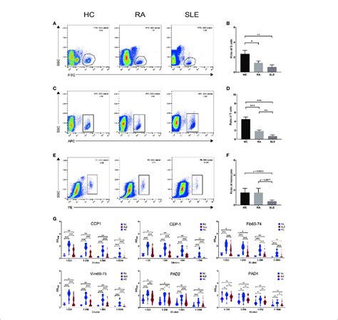 Number Of Immune Cells And Level Of Anti Citrullinated Download