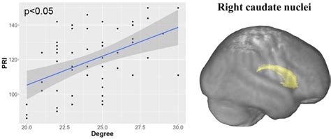 A Significant Positive Correlation Obtained Between The Perceptual Download Scientific Diagram