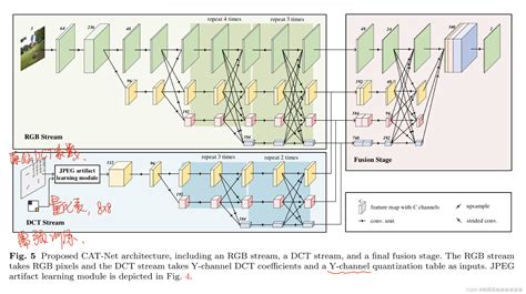 Learning Jpeg Compression Artifacts For Image Manipulationdetection And