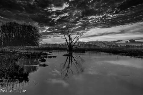 Vroege Vogels Foto Weer En Landschap Het Weer