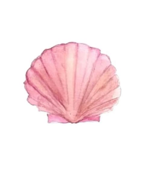 Beach Widget For Phoneipad In 2023 Seashell Art Watercolor Art