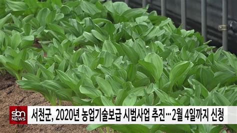 Sbn 서천군 2020년 농업기술보급 시범사업 추진2월 4일까지 신청 Youtube