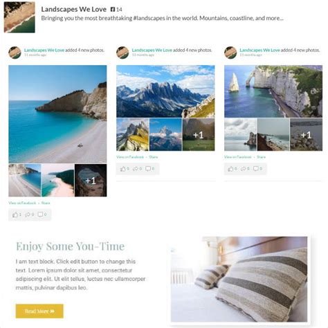 How To Add Your Facebook Feed To Elementor Easiest Way