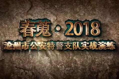 沧州公安丨春蒐2018特警支队实战演练堪比红海行动 凤凰网视频 凤凰网