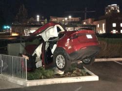 Tesla Unintended Acceleration Complaints Lead To Petition