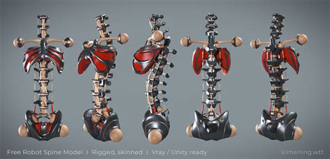 Robot Spine Free 3d Model Animated Rigged Cgtrader