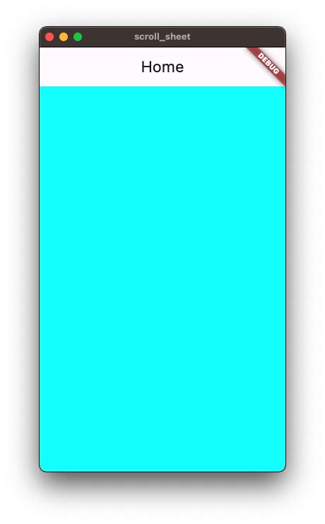 Flutter Custom Bottom Sheet