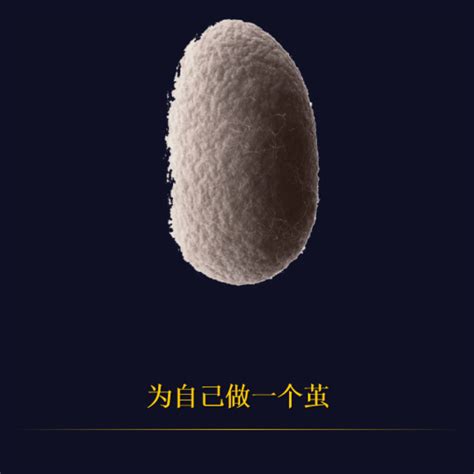 重磅青禾中启咨询联合一众创投机构与企业家实现破局 重塑 多维度奔赴 资本 共同投资 融资