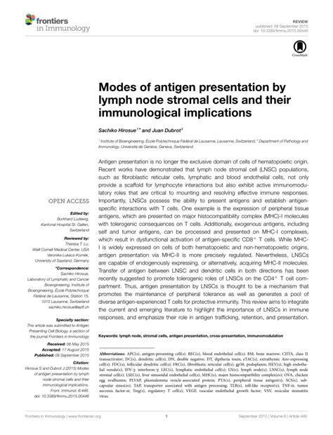 Pdf Modes Of Antigen Presentation By Lymph Node Stromal Cells And